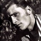 To Be Viggo | Brego.net